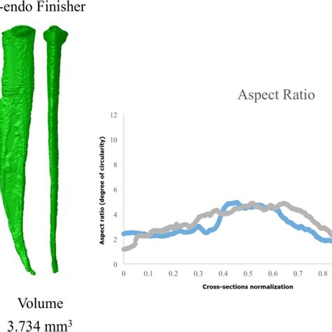Image Showing Pair Matched Teeth Selected Based On Similar