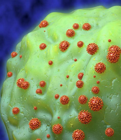 Hiv Particles Exiting A Cell By Science Photo Library