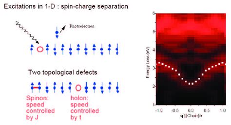 Electron Fractionalization In One Dimensional Magnets Spinless Charge