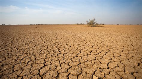 Exploring The Long Term Effects Of Drought