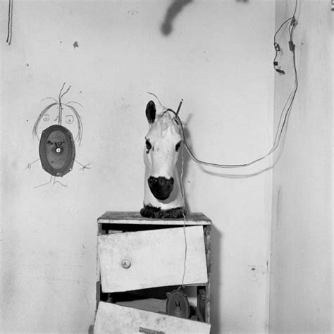 Roger Ballen Outland Hamiltons
