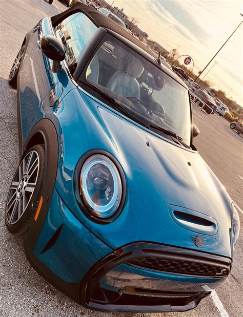 Mini Vert Tint Rmini