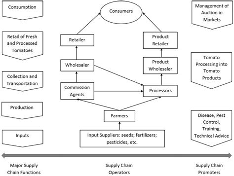 Schematic Of The Tomato Supply Chain Download Scientific Diagram