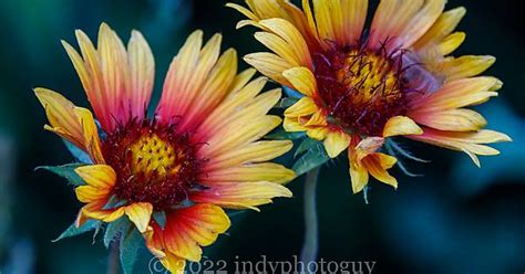 Photos From When I Got The Rf 100 500mm Lens For The Canon Eos R