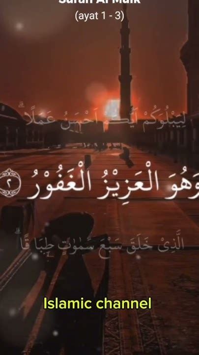 فرح خالد720 Youtube