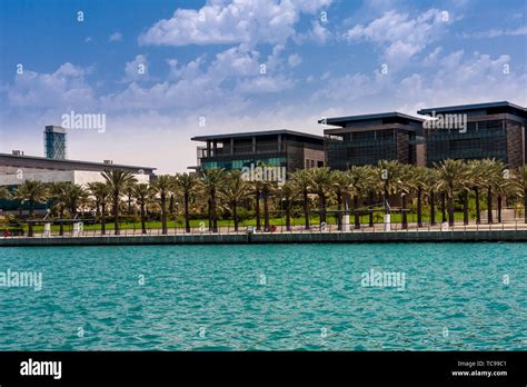 King Abdullah University Of Science And Technology Logo