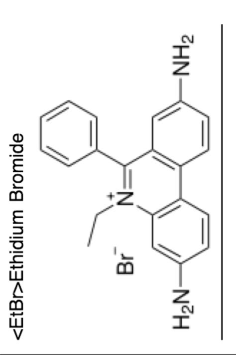 Ethidium Bromide Etbr 네이버 블로그
