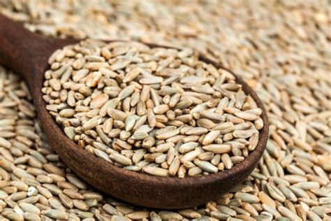 What Is Rye Nutritional Chart Health Benefits How To Eat It