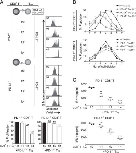 Figure 1 From Pd 1 Upregulated On Regulatory T Cells During Chronic