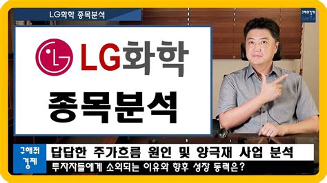 종목분석 Lg화학 답답한 주가흐름 원인과 전망 양극재 실적및 캐파 집중 분석 Youtube