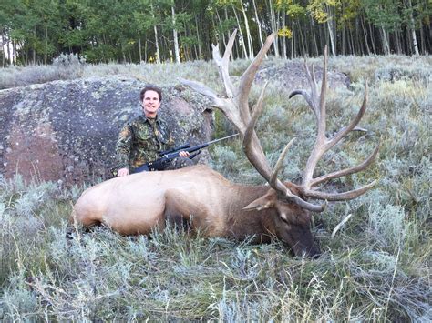 380 Bull Elk Colorado