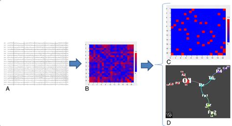 Example Of An Electroencephalography Based Minimum Spanning Tree Of A Download Scientific