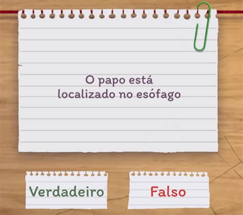 Ciências Em Wordwall Sistema Digestivo Dos Animais