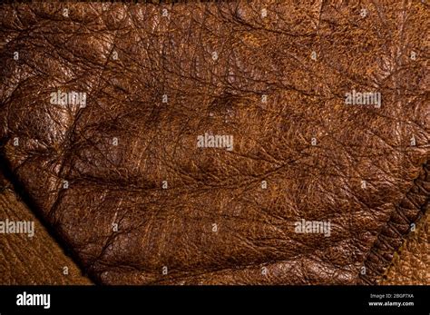 Old Vintage Genuine Soft Brown Leather Texture Background Top Layer