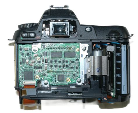 D70 Back