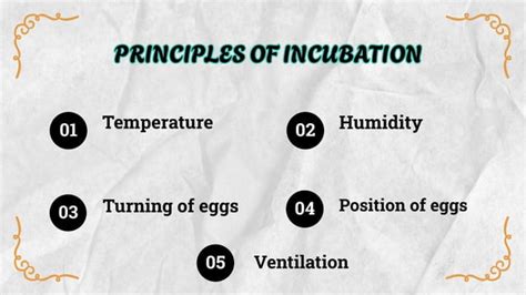 Incubation And Brooding Livestock And Poultry Management Ppt