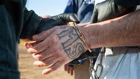 Ms 13 Member Sentenced To 10 Years In Prison For Driving Gang To Behead