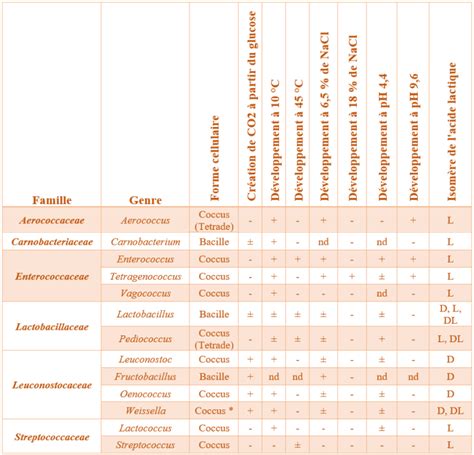 Bactéries Lactiques Définition Classification Et Caractéristiques