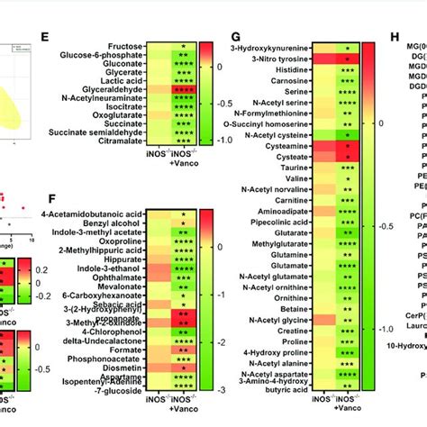 Vancomycin Induced Alterations In Serum Metabolites In Inos −− Mice