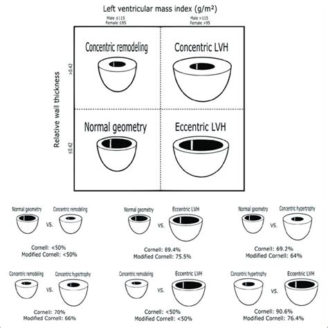 Left Ventricular Geometries And Accuracy Of The Cornell And Modified Download Scientific