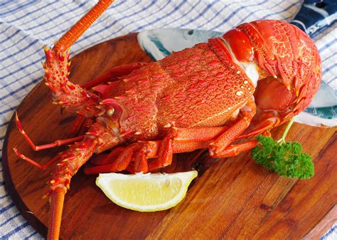 Freshly Cooked Nz Crayfish Top Of The South Seafood