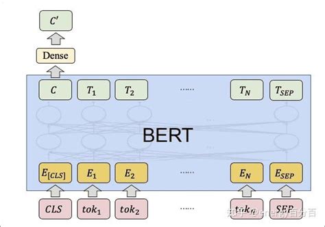 Bert Nlp