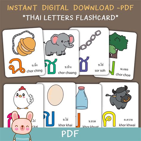 Thai Alphabet Flash Cards With Pictures Learning Thai Pdf Etsy