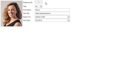 Customization Form Layout Control Winforms Controls Devexpress