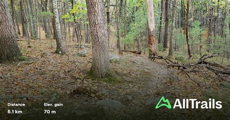 Patch Hill Conservation Area Loop Massachusetts 121 Reviews Map Alltrails