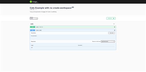 swagger api s not showing correctly when built using yarn create nx
