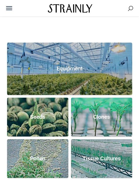 Strainly The Platform Fostering Cannabis Biodiversity Cannabis News