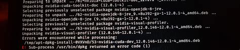 Error Installing Nvidia Driver Rkalilinux