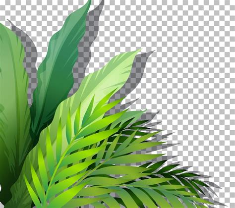 Imágenes De Plantas Png Descarga Gratuita En Freepik