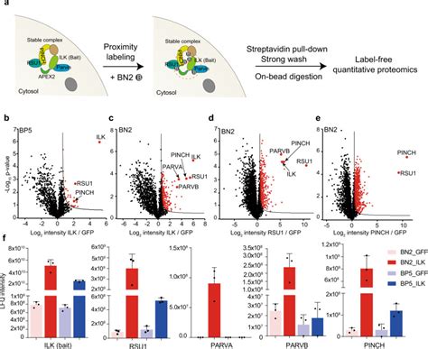 Spatiotemporal Profiling Of Cytosolic Signaling Complexes In Living Cells By Selective Proximity