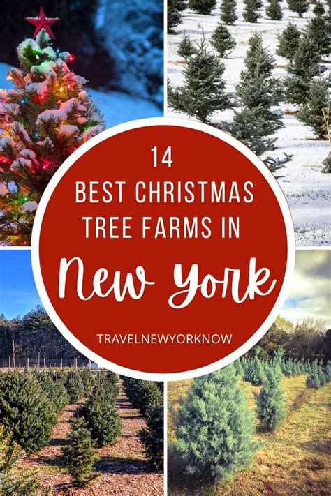 Pin On Best Of Travel New York Now