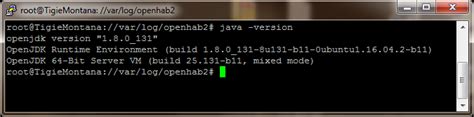 installed the mqtt binding but no mqtt cfg file beginners openhab