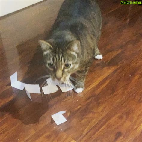 Kandra King Gethu Cinema