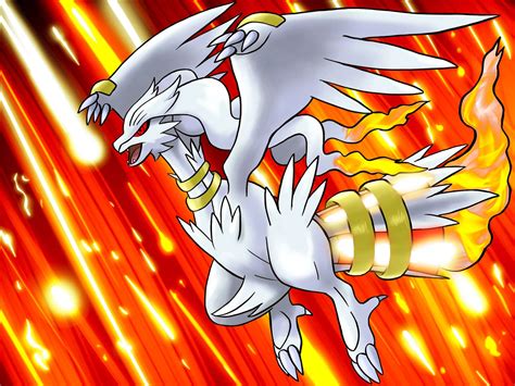 100 Reshiram Wallpapers