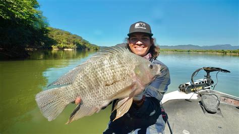 Pesqué Una Mojarra Tilapia Enorme Reto De Pesca En La Presa Youtube