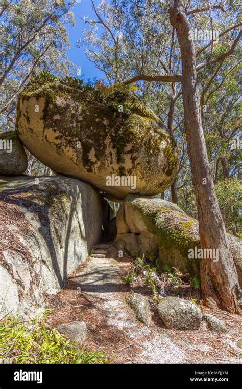 Bald Rock National Park Is A National Park In Northern New South Wales