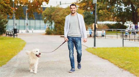Por Qué Tenemos Que Dar Paseos A Nuestro Perro La Urbe