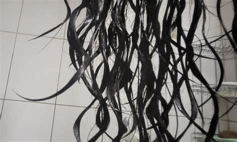 Curl Wave Pattern Rcurlyhair Curl Wave Pattern Rcurlyhair