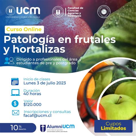 Sofía Díaz Cornejo Posted On Linkedin