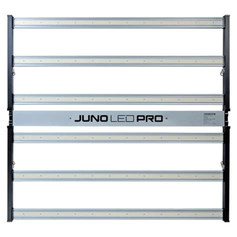 Maxibright Juno Led Pro 1944 2025