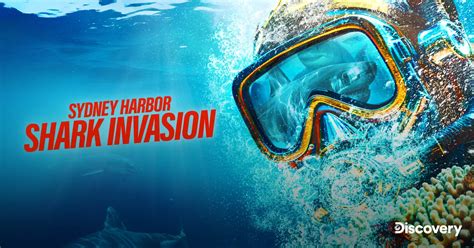 Watch Sydney Harbor Shark Invasion Streaming Online Hulu