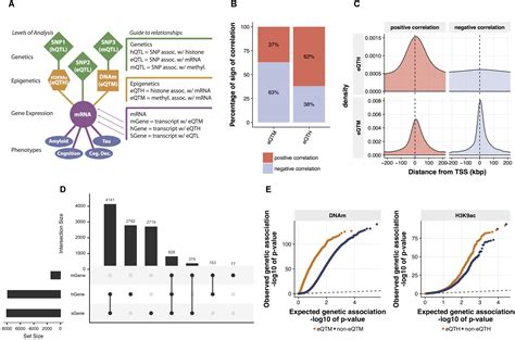 frontiers multi omic directed networks describe features of gene