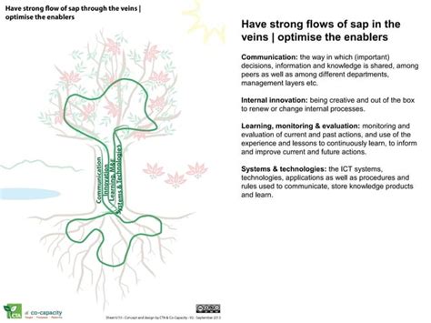 Knowledge Ecosystem Approach Ppt