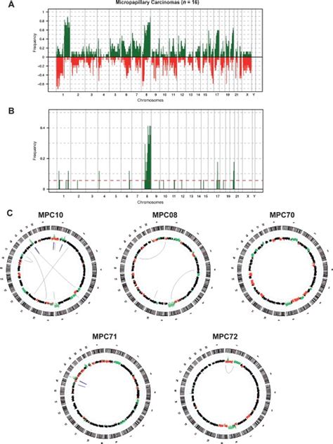 Microarray Based Comparative Genomic Hybridization Frequency Plots And Download Scientific