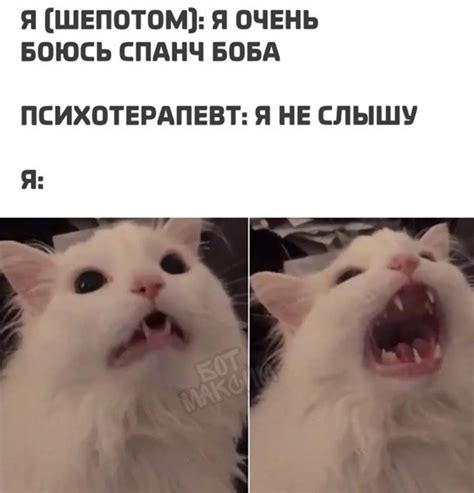 Мемы Кот держится за голову 30 фото