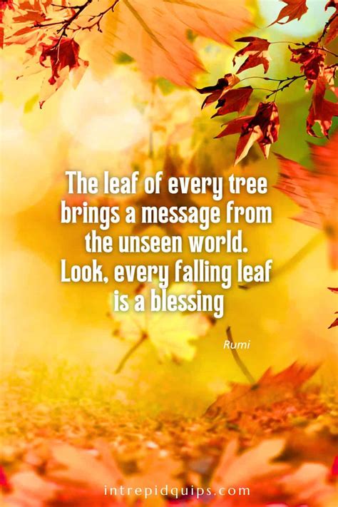 44 Falling Leaves Quotes To Inspire Your Autumn Days •